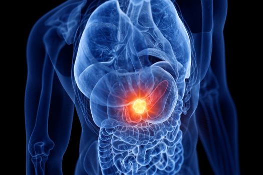 British Journal of Nursing - Clinical: Pathophysiology British Journal of Nursing - Clinical: Pathophysiology